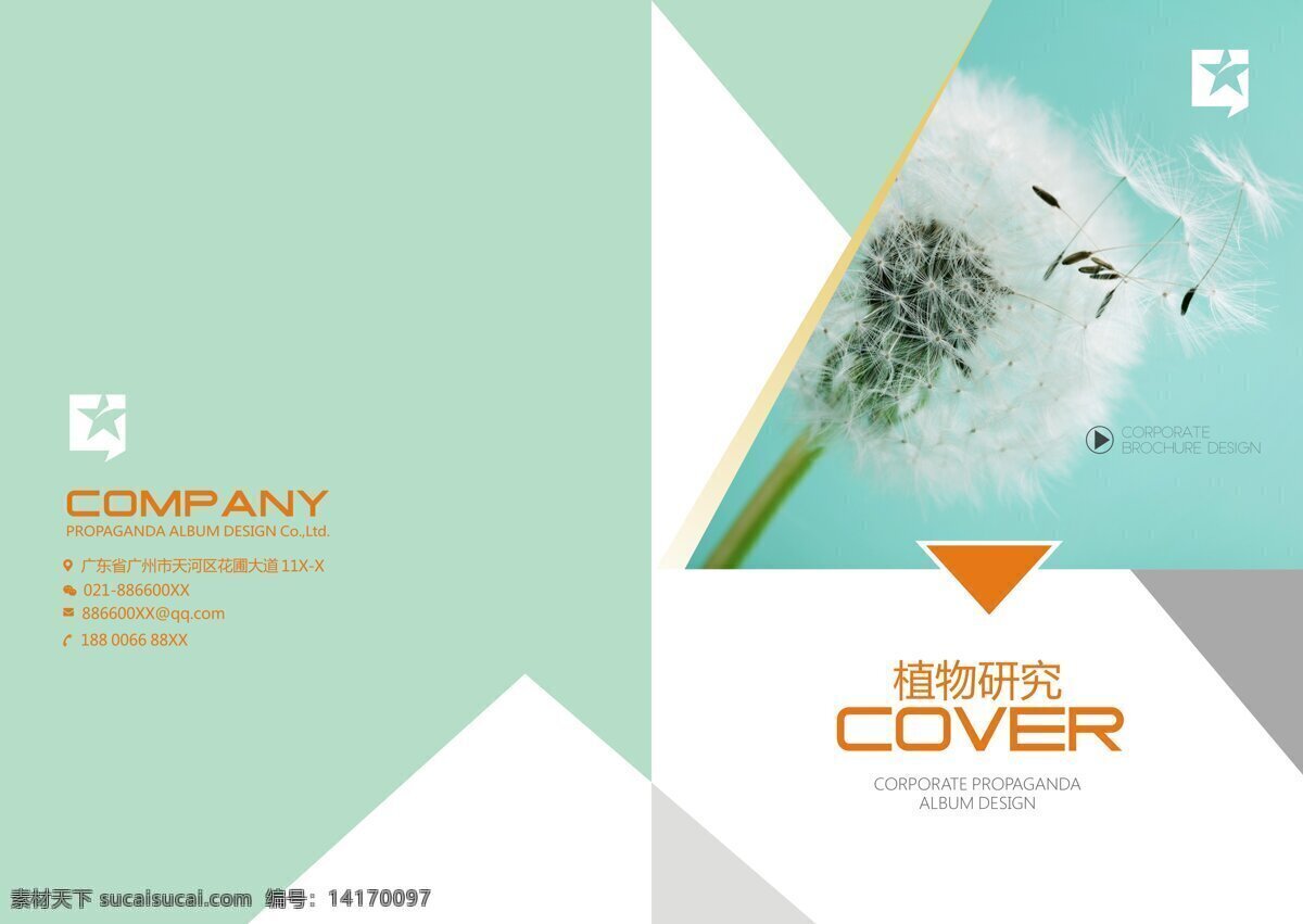简约植物研究宣传画册封面素材图片下载-素材编号14170097-素材天下图库